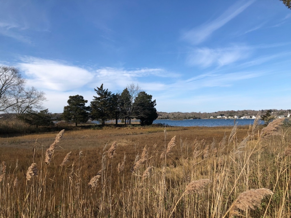 Picture Gallery | Save Masons Island